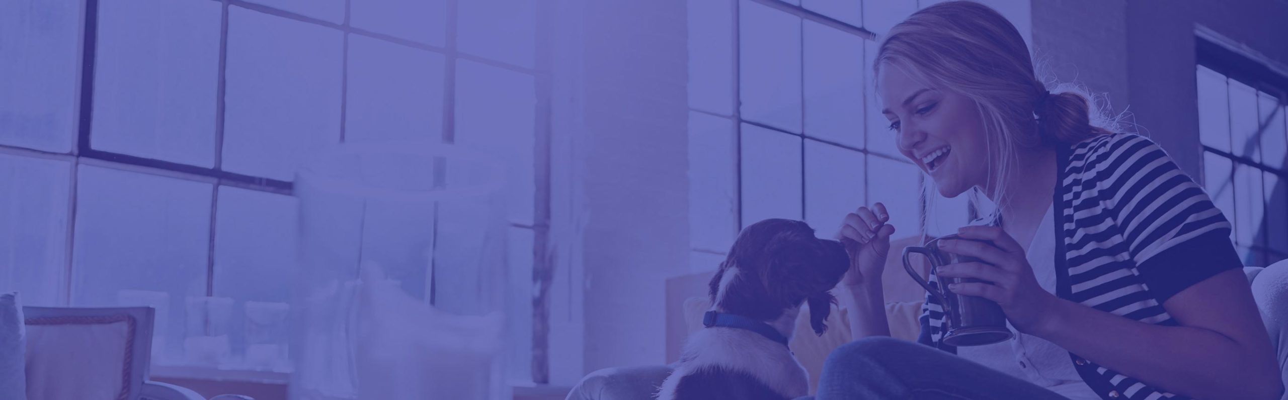 Retail Success Story Capabilitysource